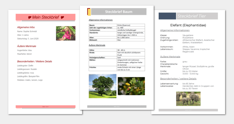 Steckbrief: 3 wirklich tolle Vorlagen, Muster & Beispiele